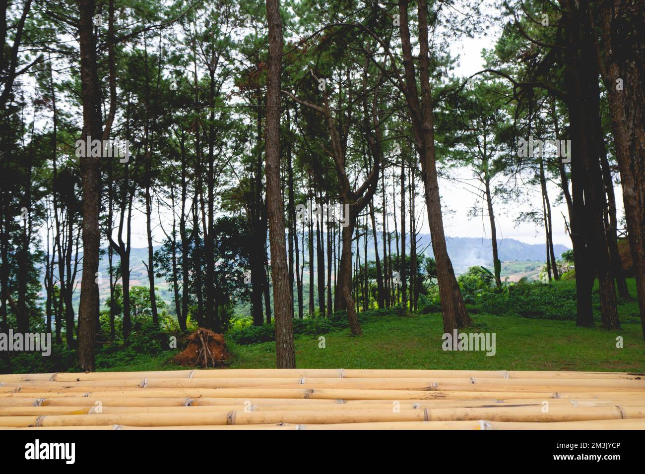 Plank lodge hi-res stock photography and images - Alamy