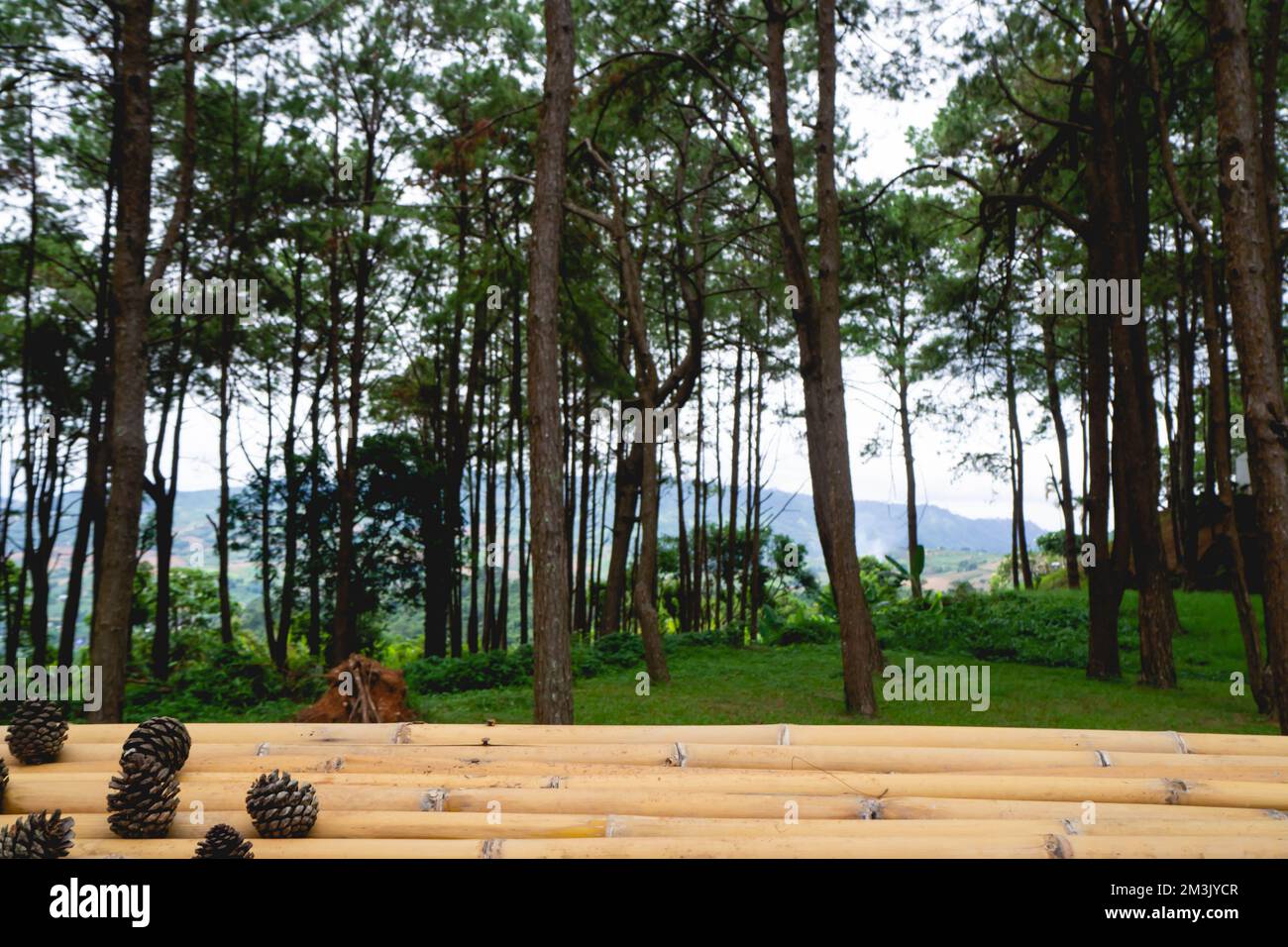 Long plank hi-res stock photography and images - Alamy