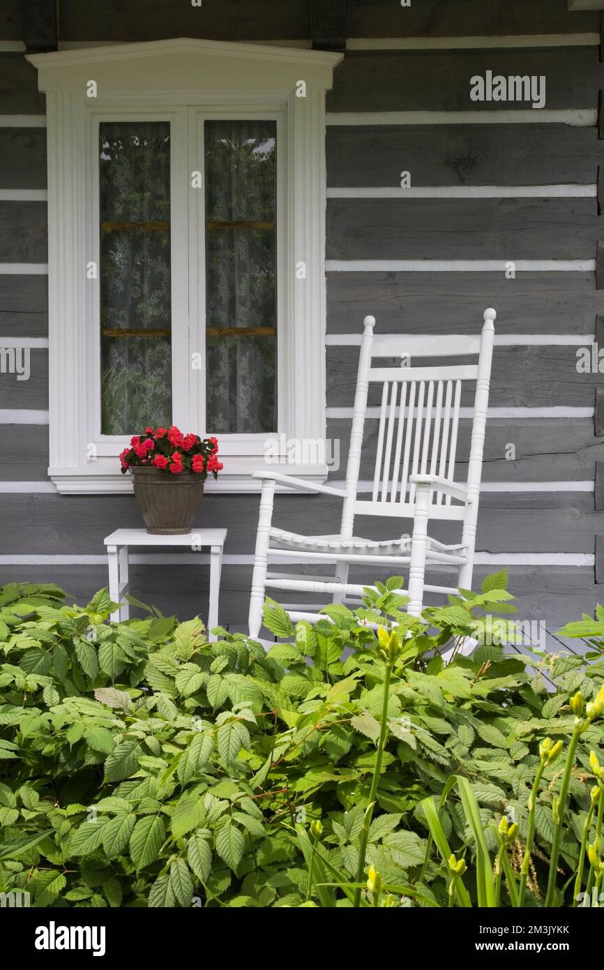 White antique wooden rocking chair and table with red Rosa -Roses in ...