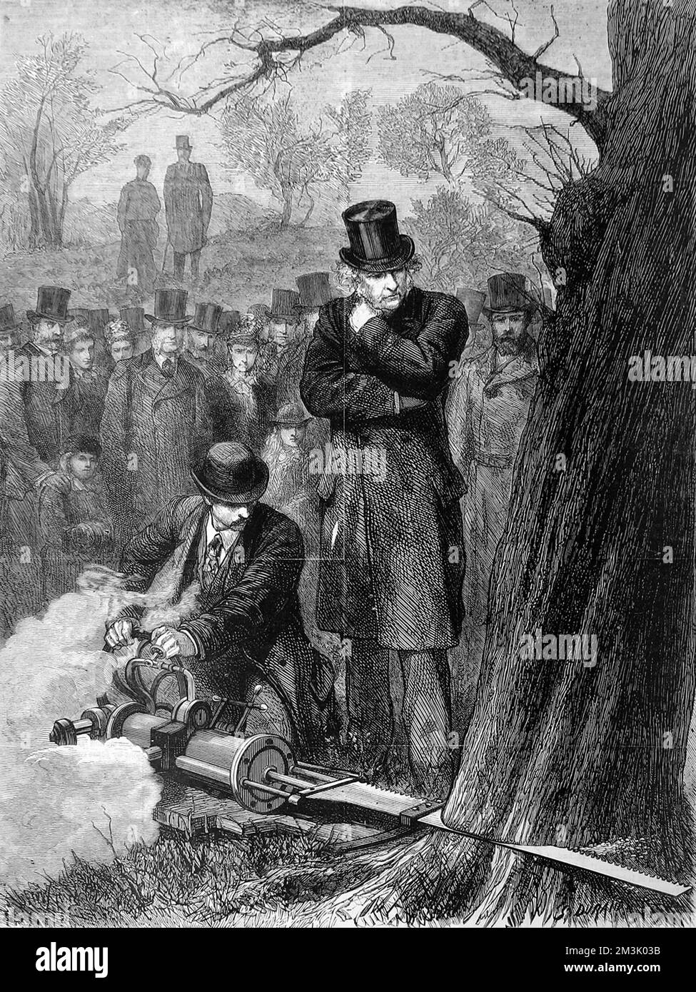 Steam of tree Black and White Stock Photos & Images - Alamy