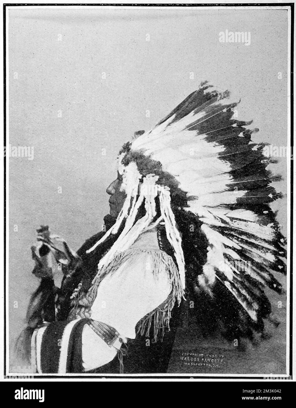 Extinctoin hi-res stock photography and images - Alamy