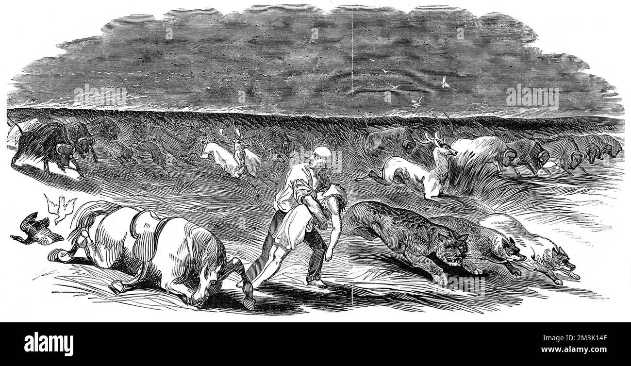 American Prairie on Fire Stock Photo - Alamy