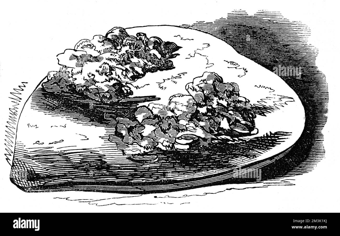 Cwts hi-res stock photography and images - Alamy