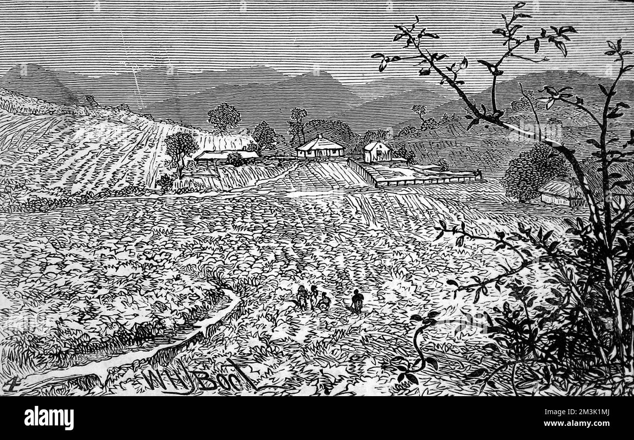 Fields in india Black and White Stock Photos & Images - Alamy