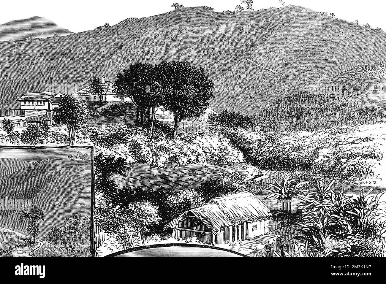 Goldfield history hi-res stock photography and images - Alamy