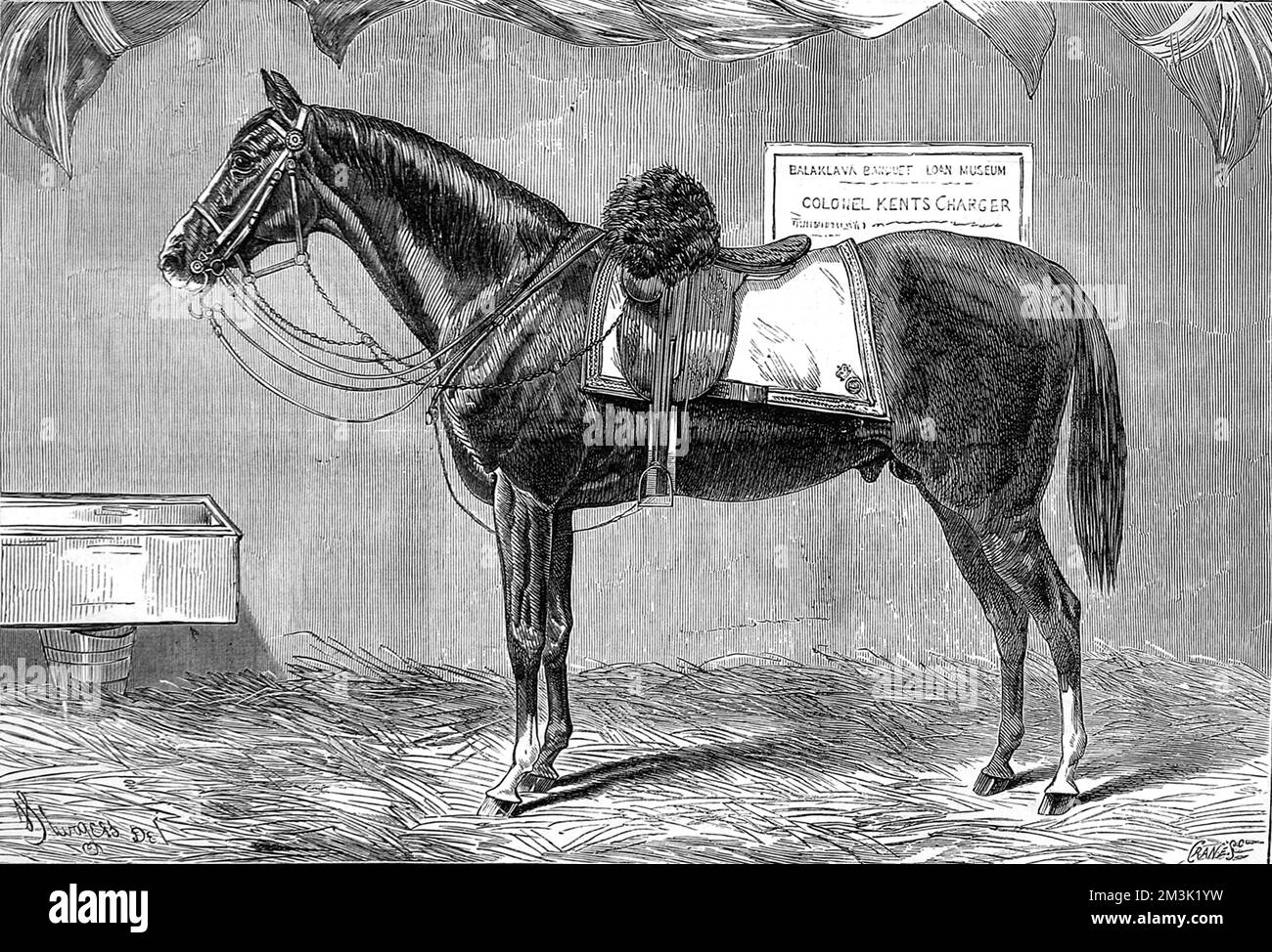 20 horse hi-res stock photography and images - Alamy