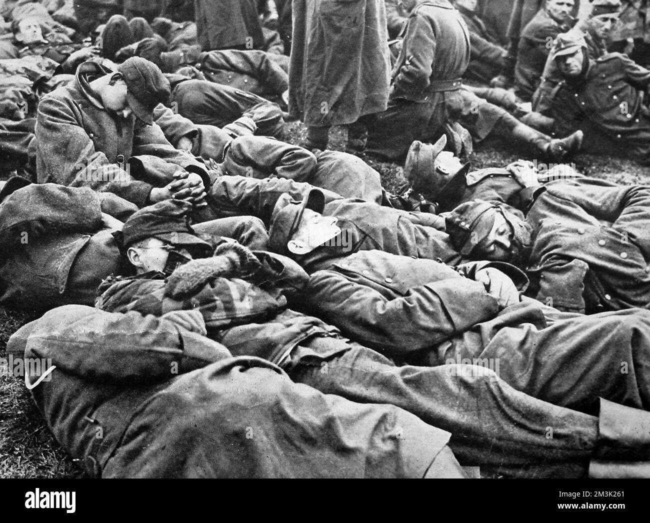 Shown resting Black and White Stock Photos & Images - Alamy