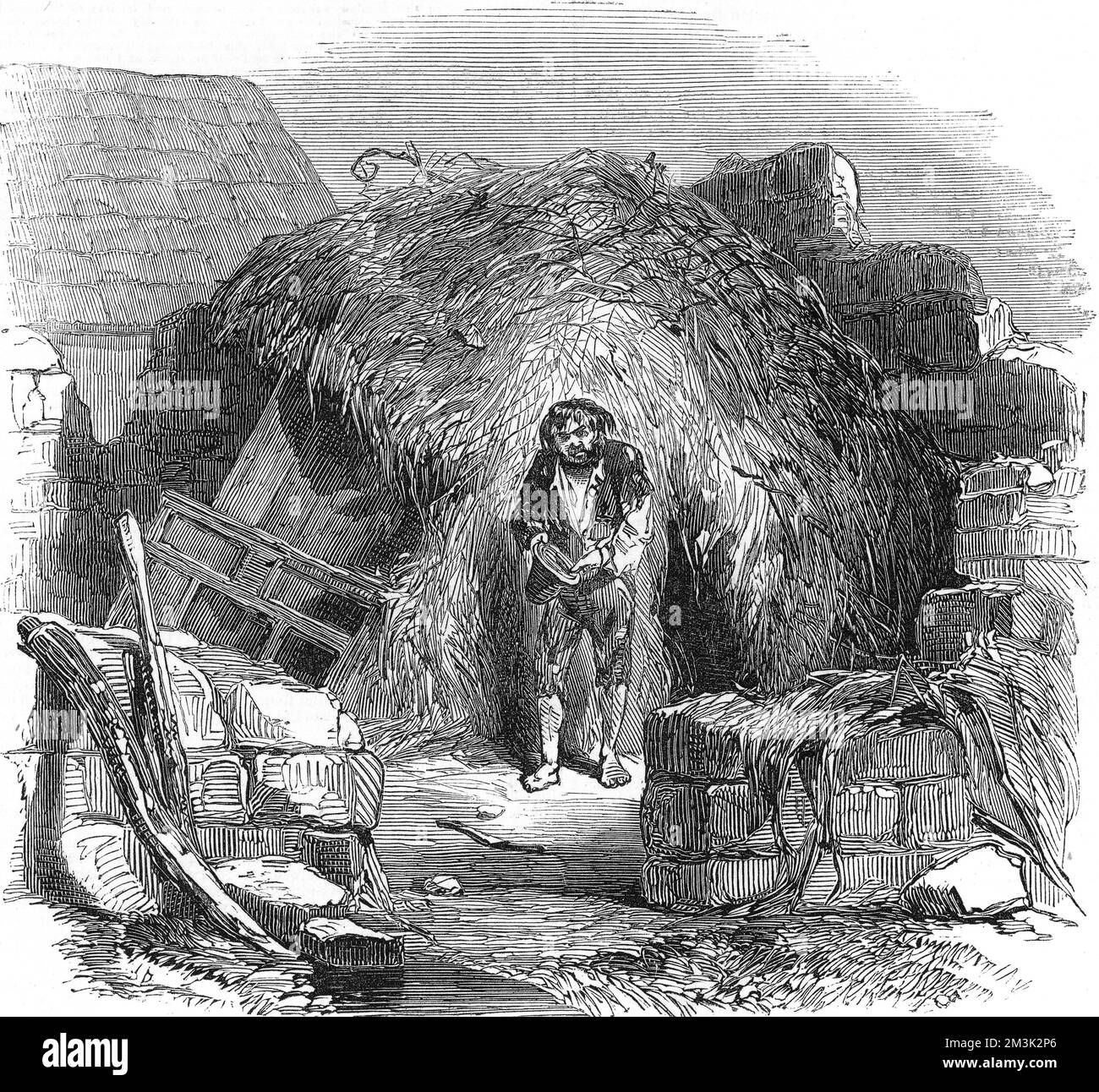 Import potato hi-res stock photography and images - Alamy