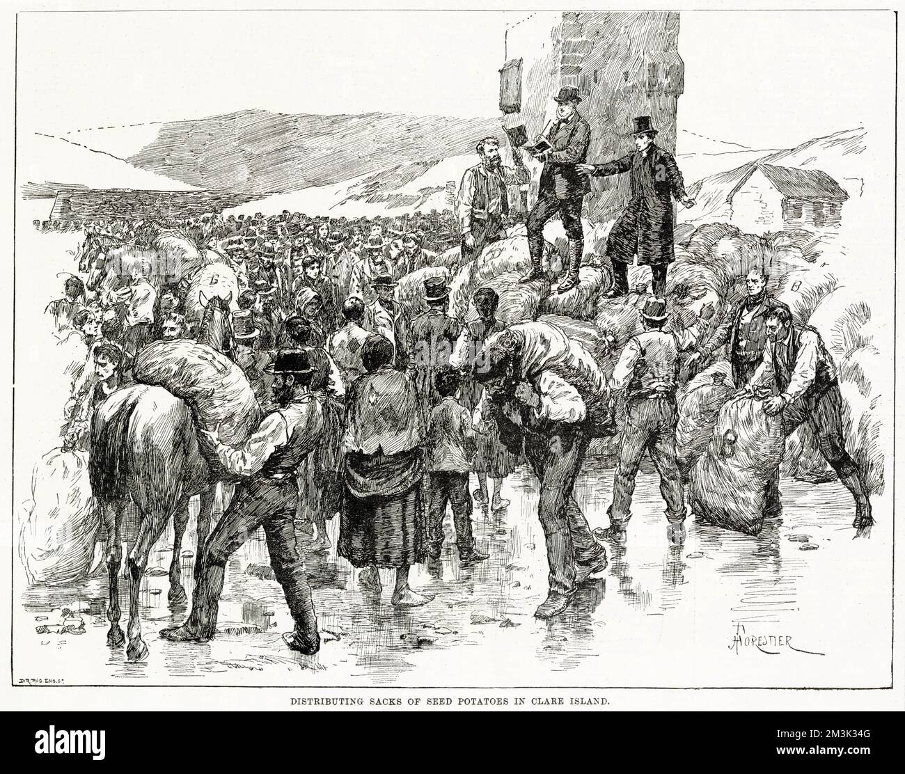 Potato distribution hi-res stock photography and images - Alamy