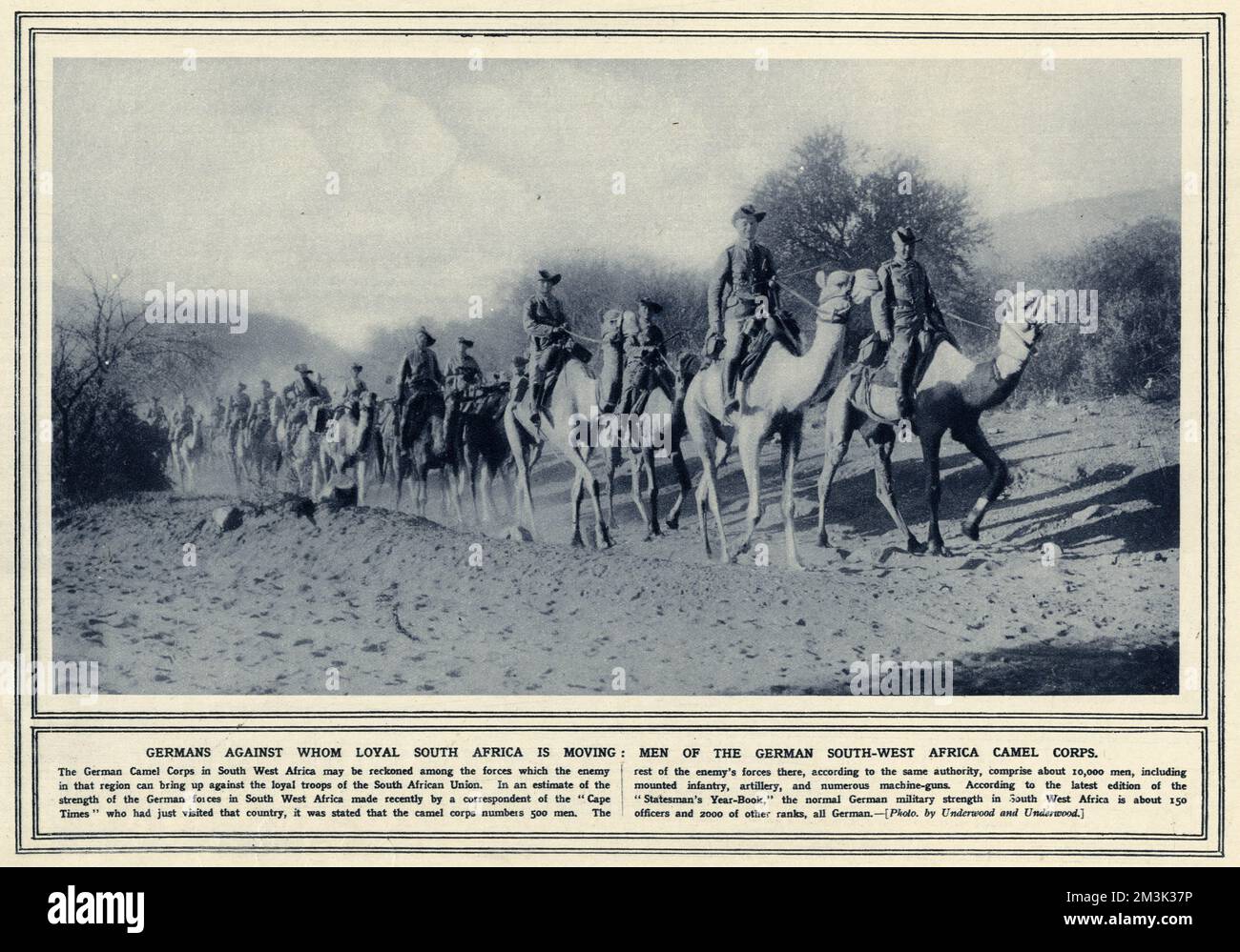 German africa corps hi-res stock photography and images - Alamy