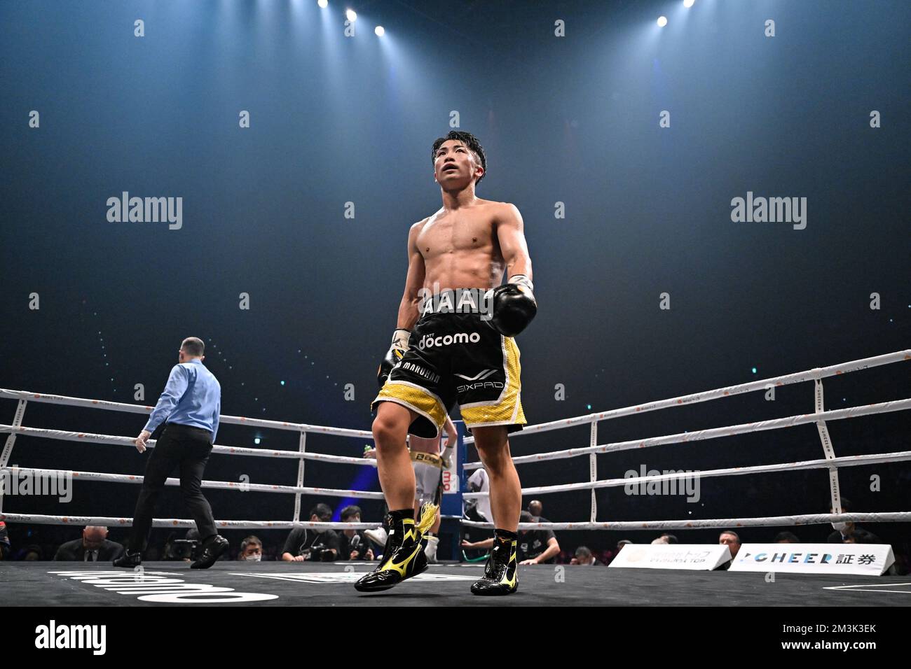Tokyo, Japan. 13th Dec, 2022. Naoya Inoue of Japan reacts during the ...