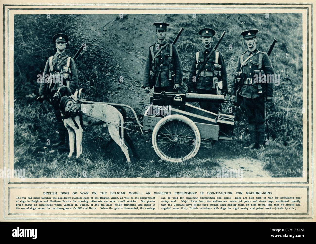 Dog traction for machine guns Stock Photo - Alamy