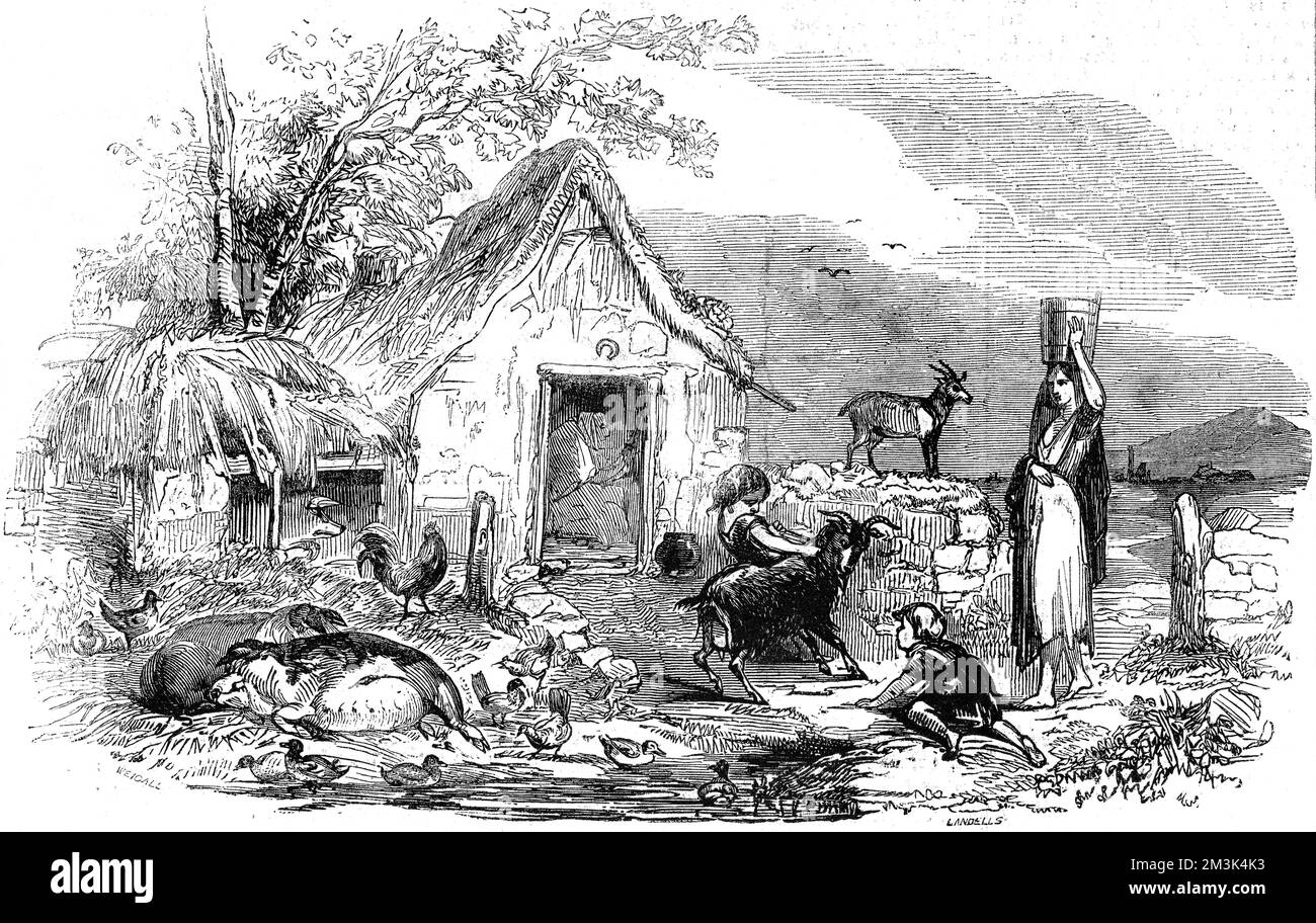 Leinster cottage, Ireland 1843 Stock Photo - Alamy