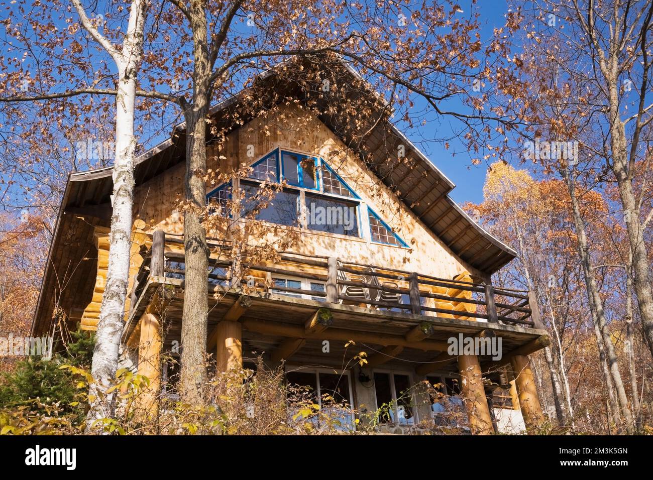A-frame style log cabin framed through trees in autumn Stock Photo - Alamy