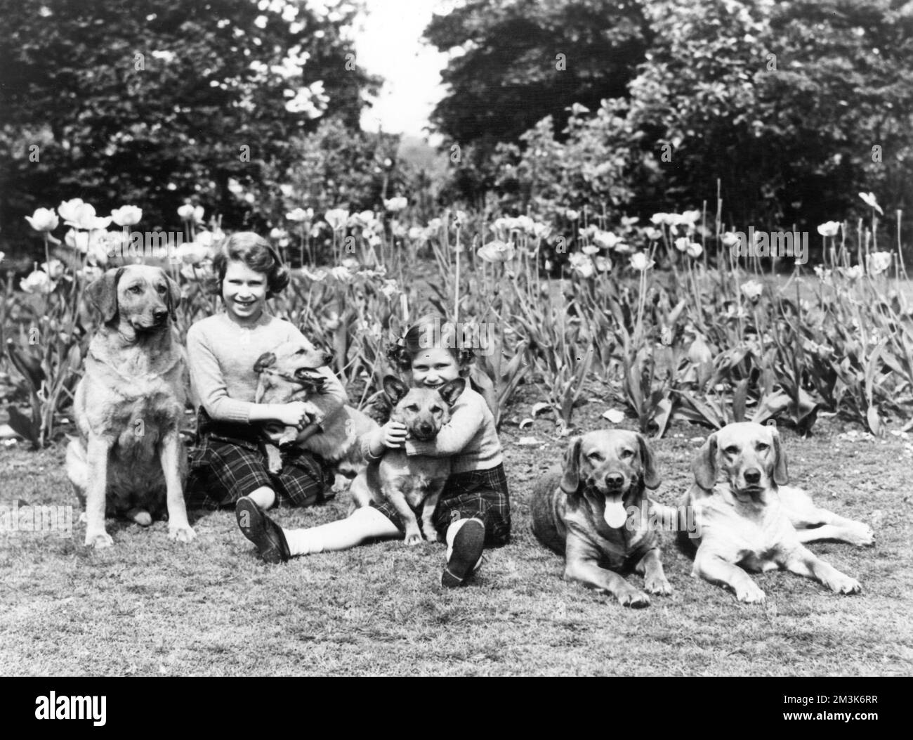 Queen elizabeth ii and corgis hi-res stock photography and images - Alamy