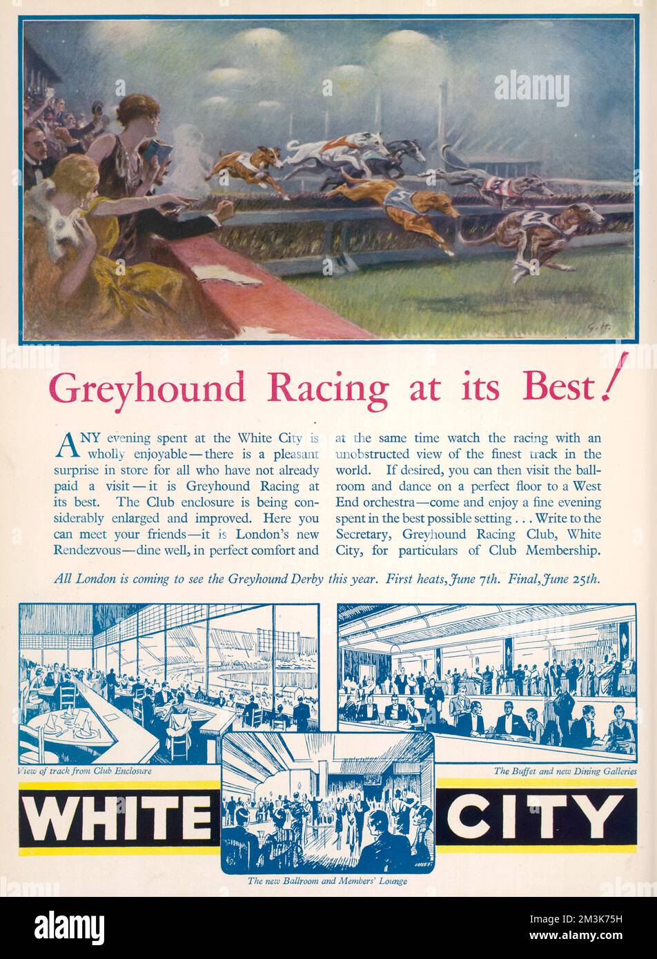 Greyhound racing track hi-res stock photography and images - Alamy