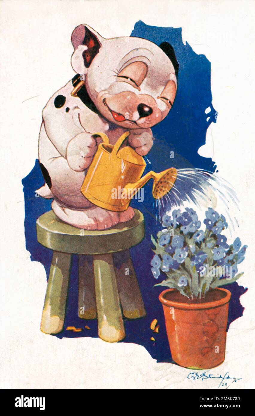 Forget me-not by G.E Studdy Stock Photo - Alamy