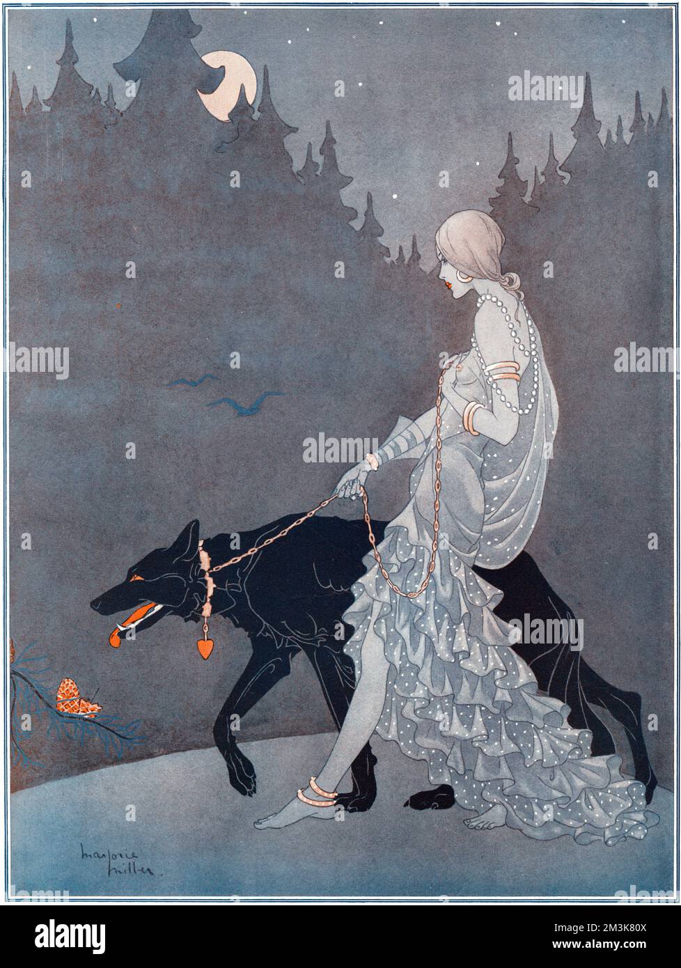 Queen of the Night by Marjorie Miller Stock Photo - Alamy