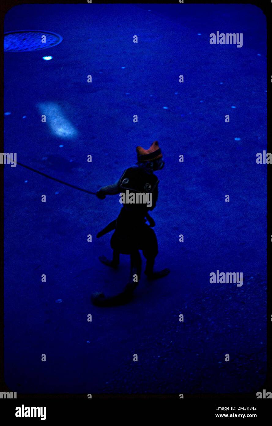 Organ monkey hi-res stock photography and images - Alamy