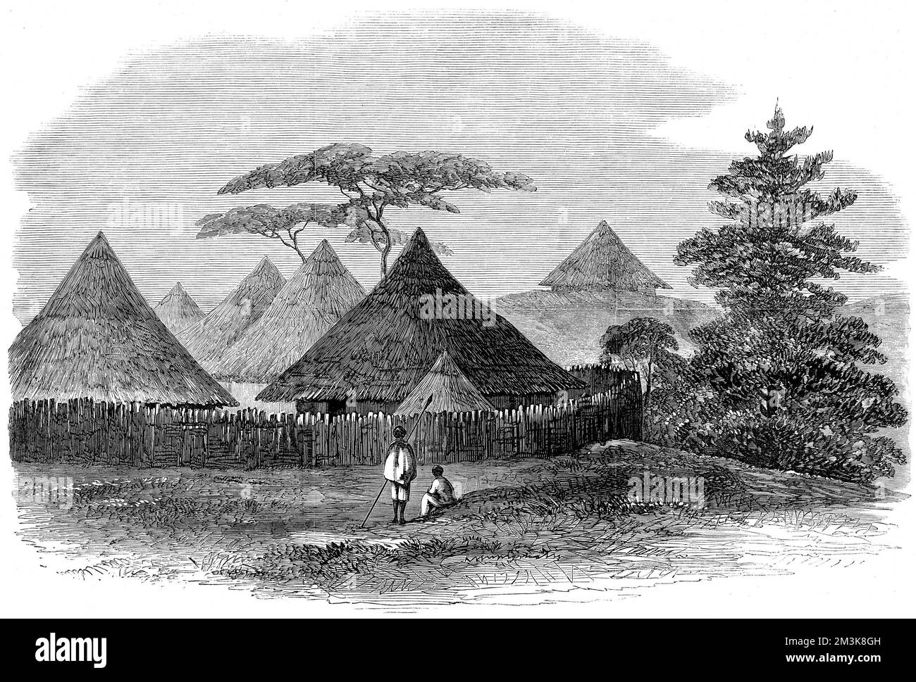 Abyssinian king hi-res stock photography and images - Alamy