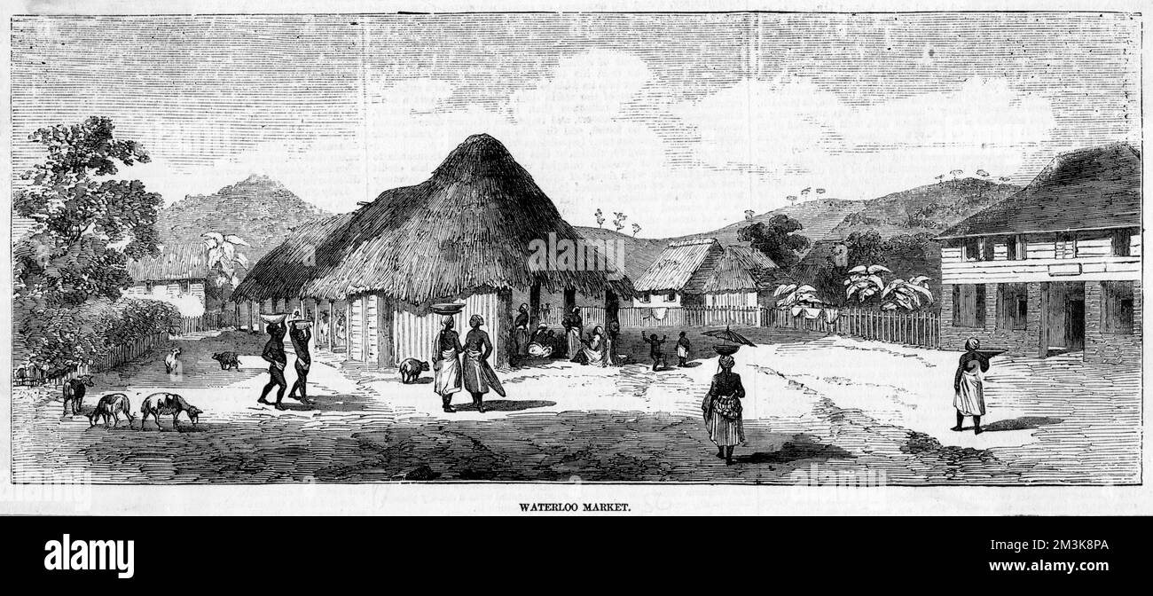 Waterloo Market (presumably at Freetown ?) Date: 1856 Stock Photo - Alamy
