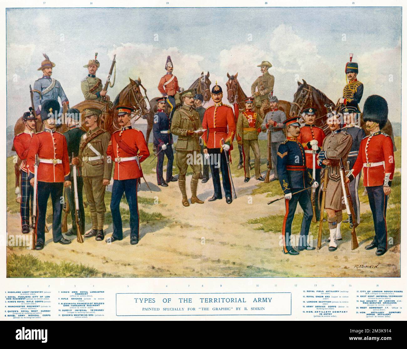 TYPES OF TERRITORIALS Stock Photo - Alamy