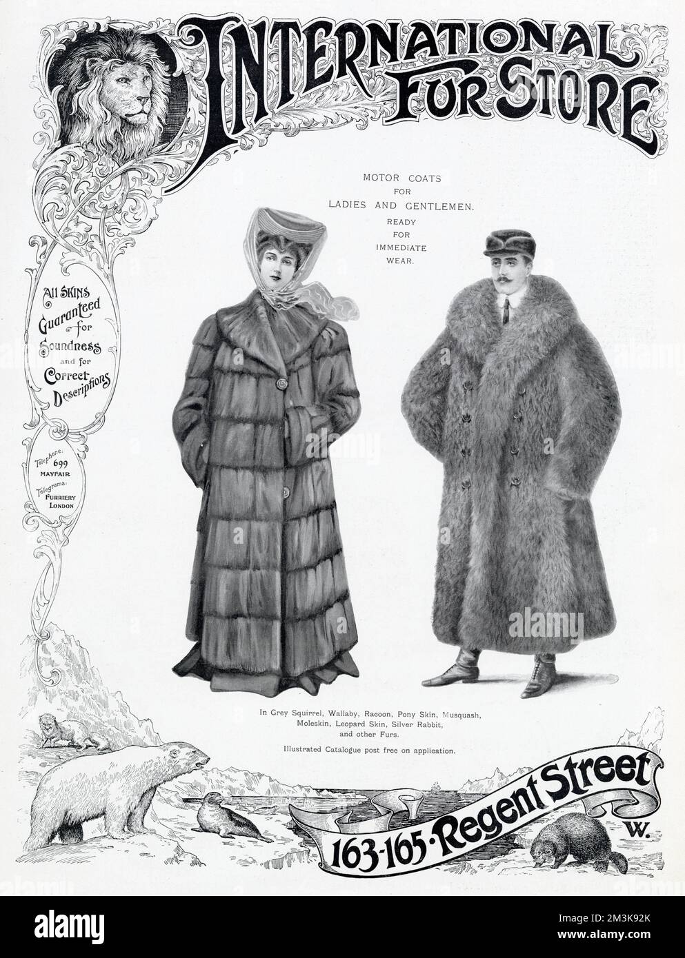 Advert for International Fur Store 1905 Stock Photo - Alamy