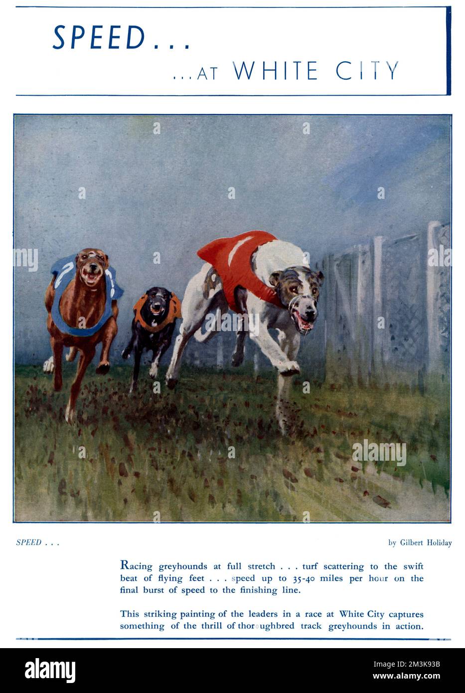 Greyhound stadium Cut Out Stock Images & Pictures - Alamy