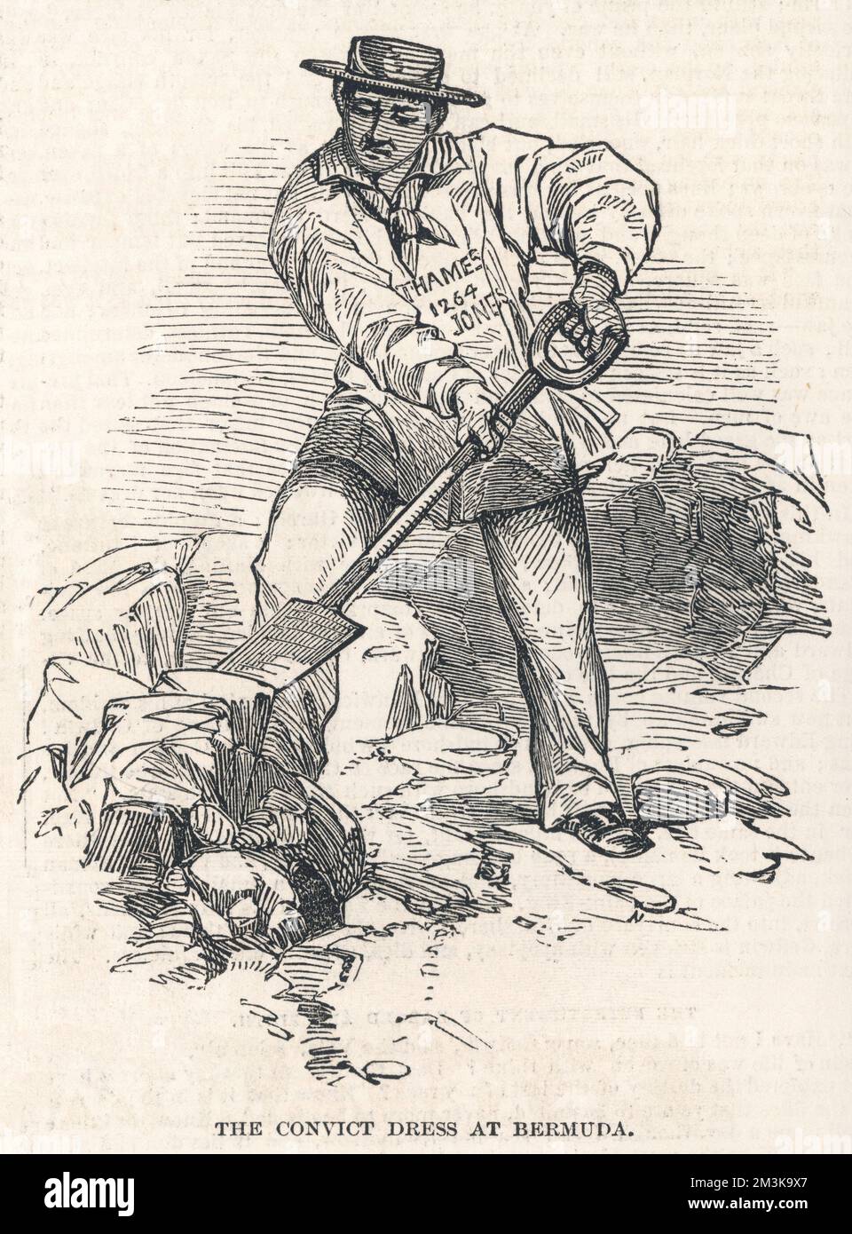 A convict transported to Bermuda shown digging rocky ground and wearing ...