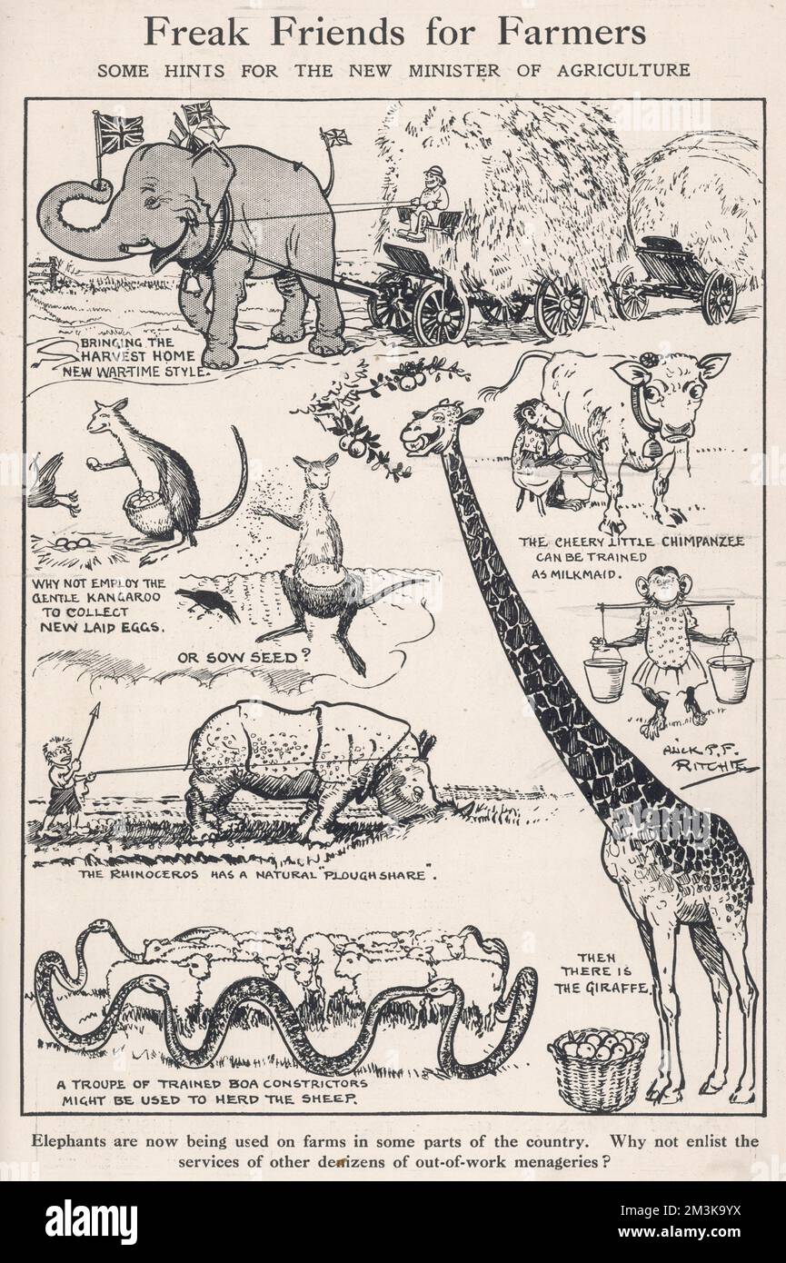 Freak Friends for Farmers Stock Photo - Alamy