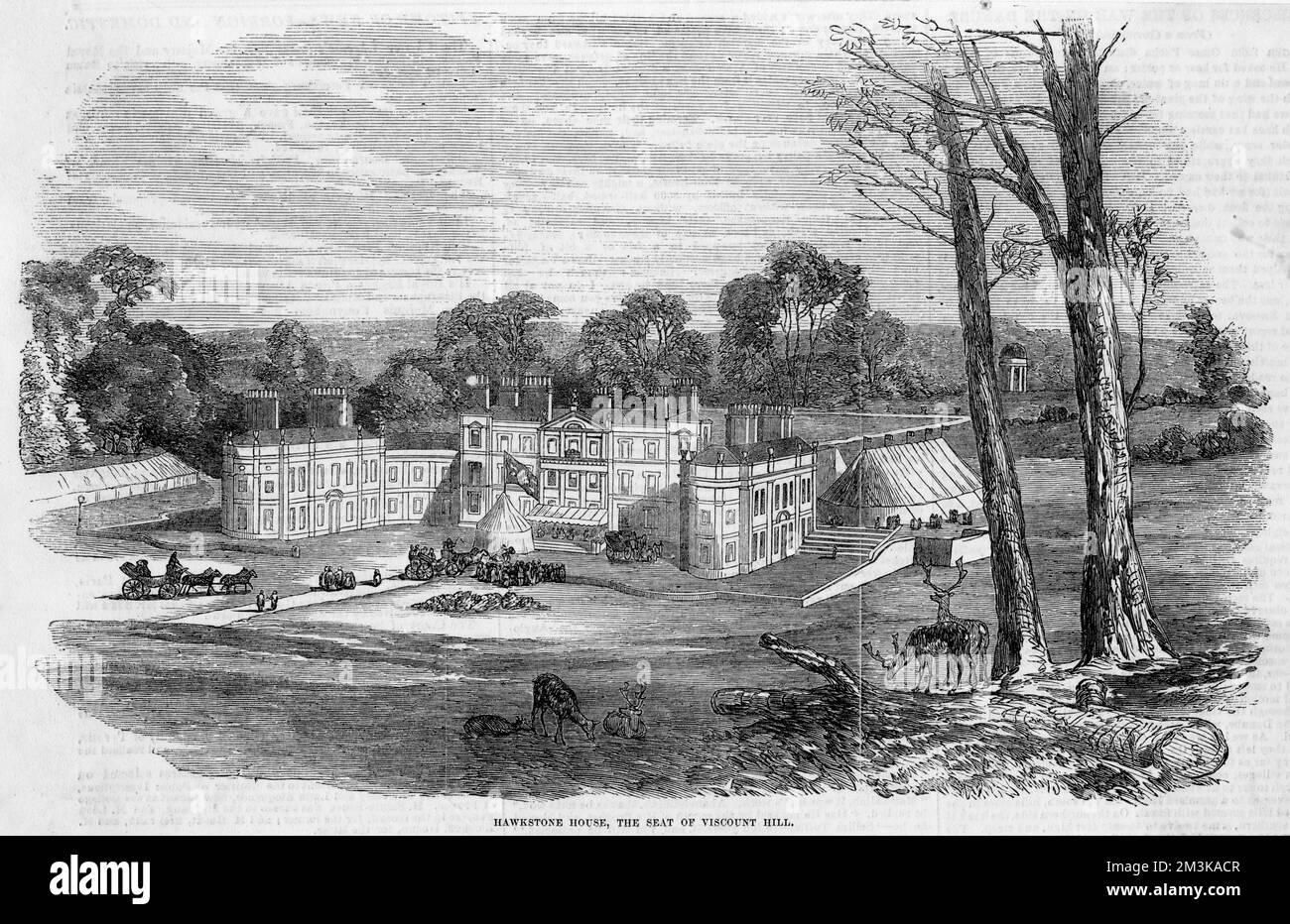 Hawkstone hill hi-res stock photography and images - Alamy