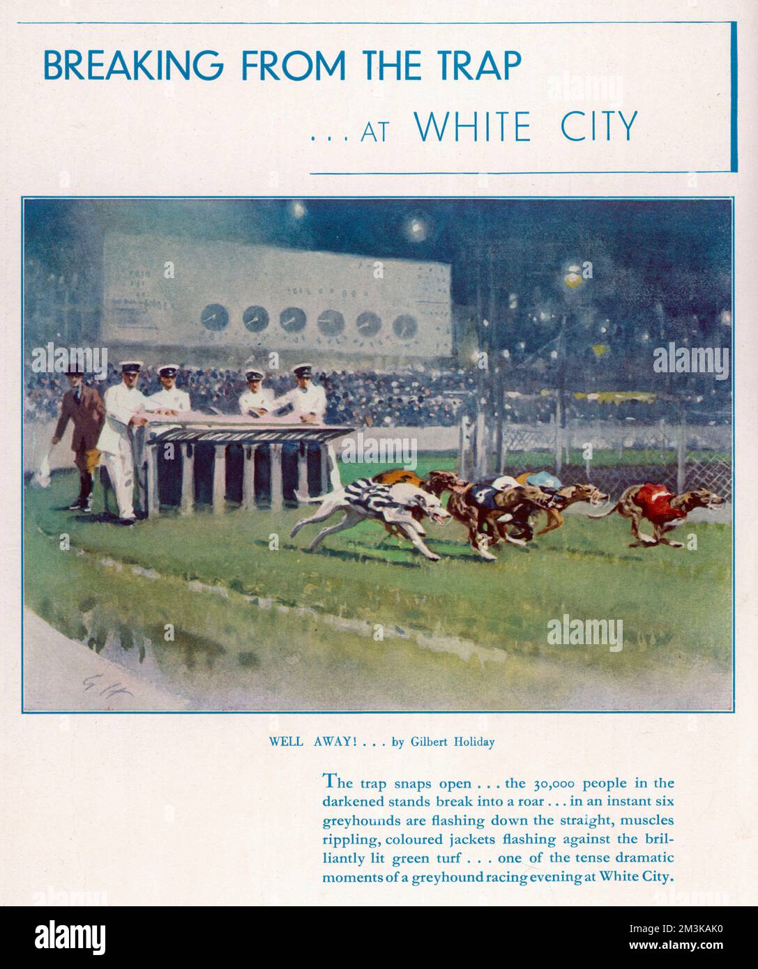 Trap at greyhound track hi-res stock photography and images - Alamy