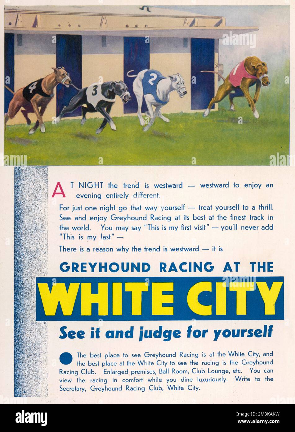 Advert for White City greyhound racing stadium depicting four ...