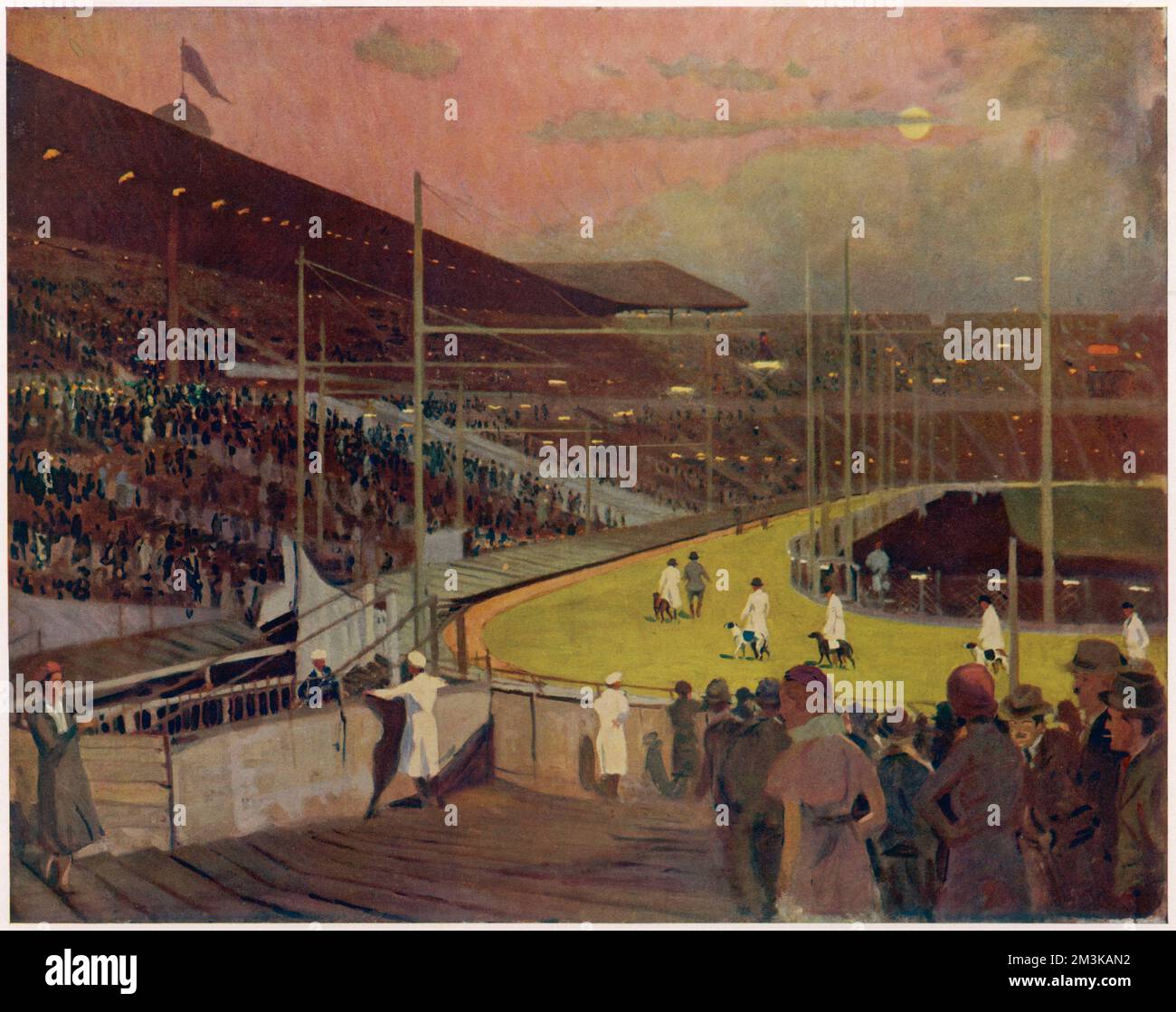 Greyhound dogs racing, wembley hi-res stock photography and images - Alamy