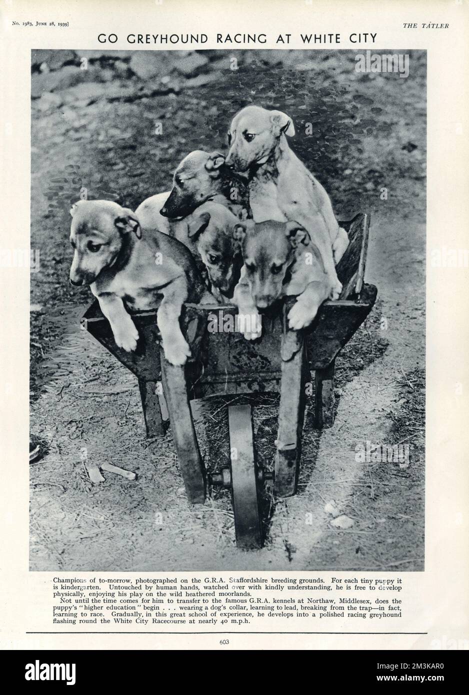 Racing in the city hi-res stock photography and images - Alamy