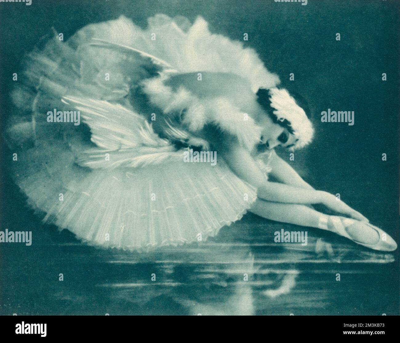 Anna pavlova swan hi-res stock photography and images - Alamy