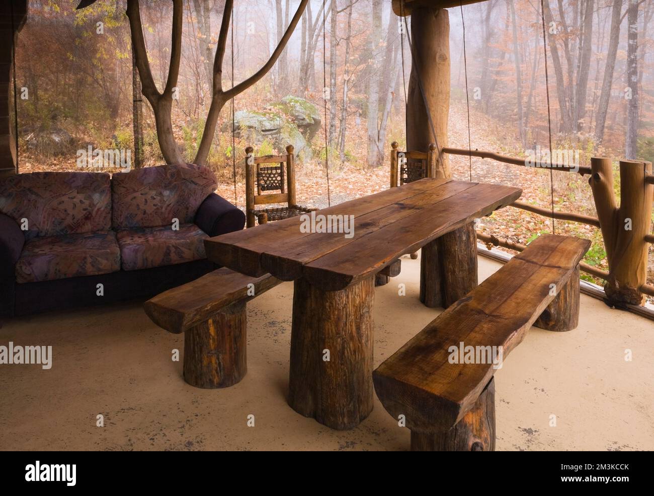 Stained and varnished split log dining table and benches in sunroom ...