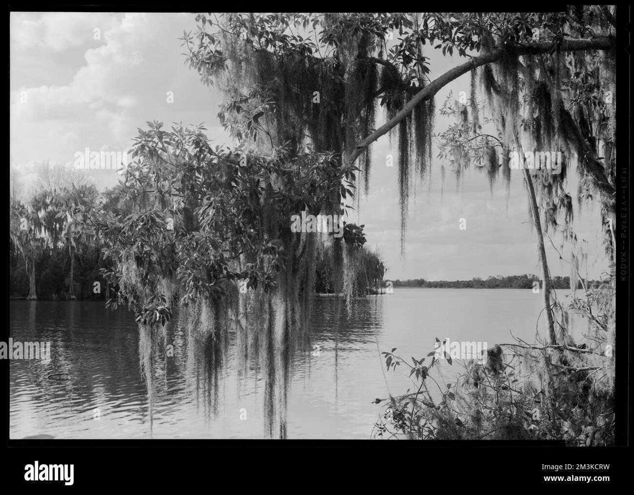 Outdoor water scene , Trees, Bodies of water. Samuel Chamberlain ...