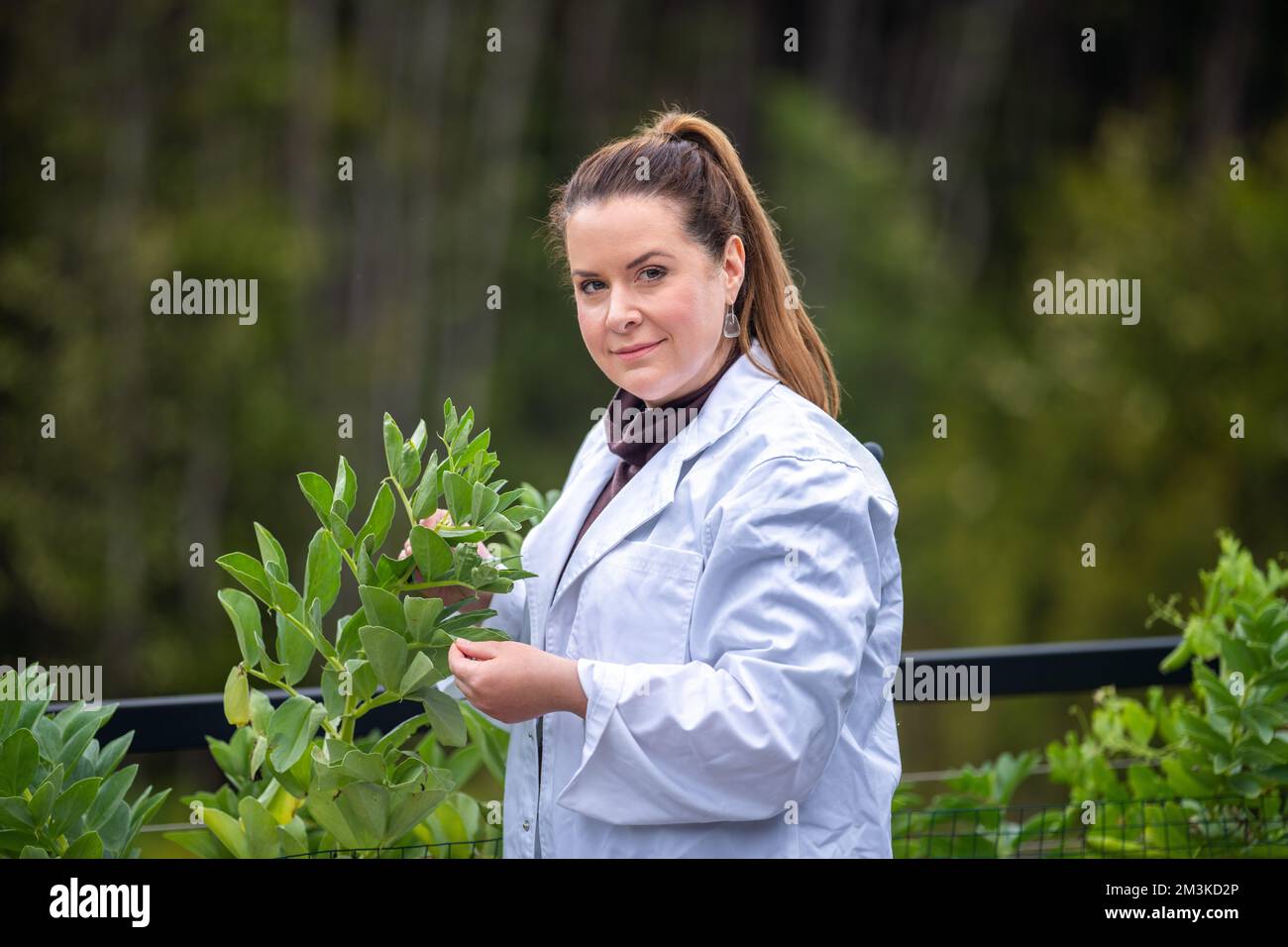 Australian agriculture research hi-res stock photography and images - Alamy