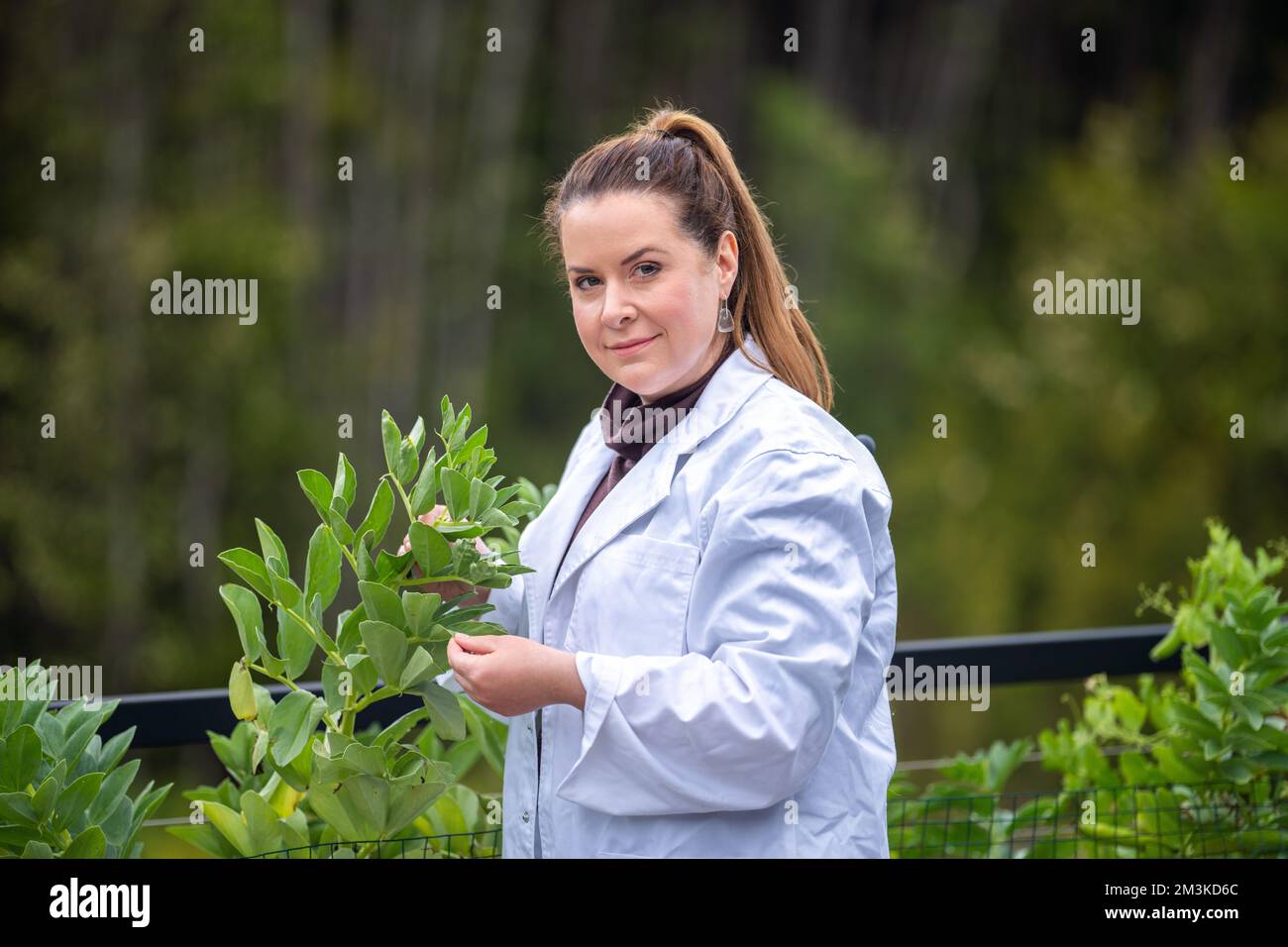 female scientist student in a university. studying plant science doing ...