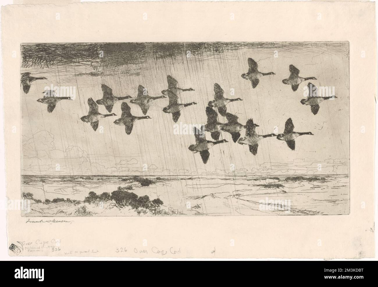 Over Cape Cod , Geese, Flying, Seas, Rain. Frank W. Benson (1862-1951 ...