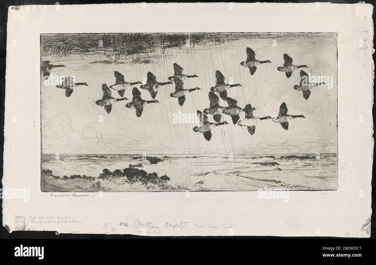 Over Cape Cod , Geese, Flying, Seas, Rain. Frank W. Benson (1862-1951 ...