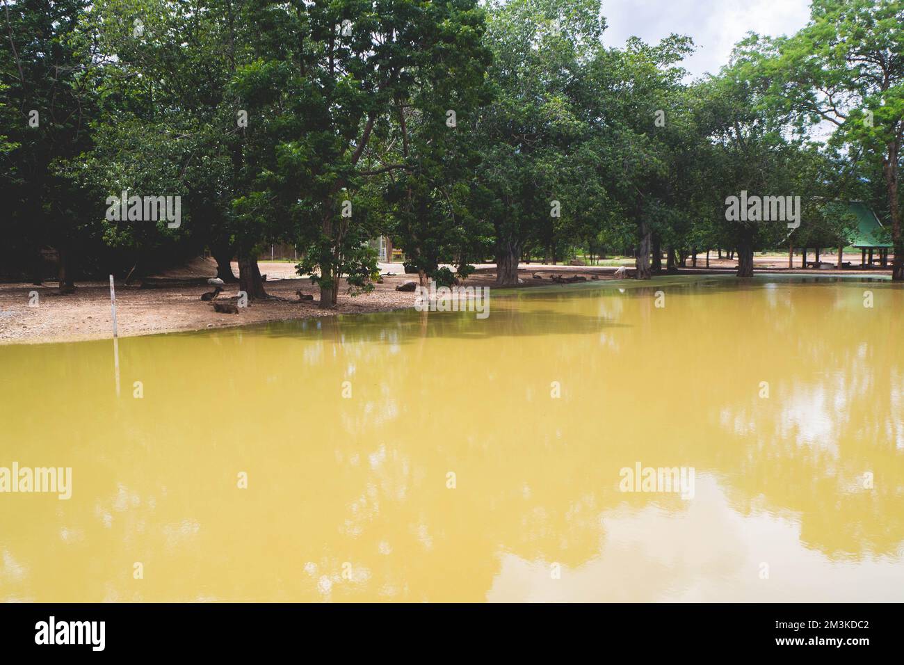 Puddles roof hi-res stock photography and images - Alamy