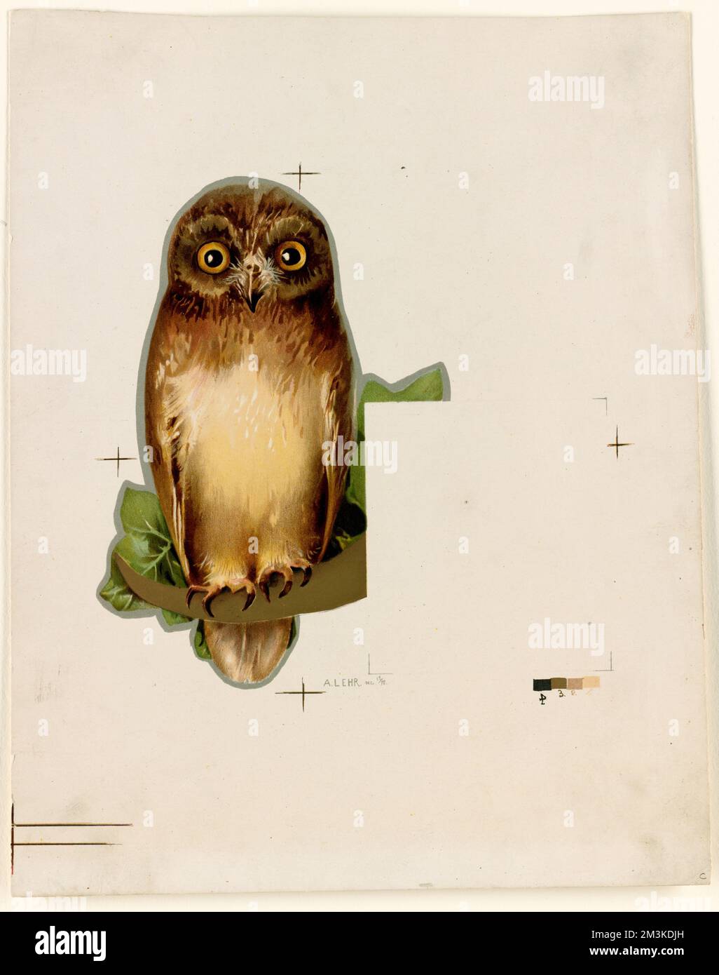 Owl , Owls. Louis Prang & Company Collection Stock Photo - Alamy
