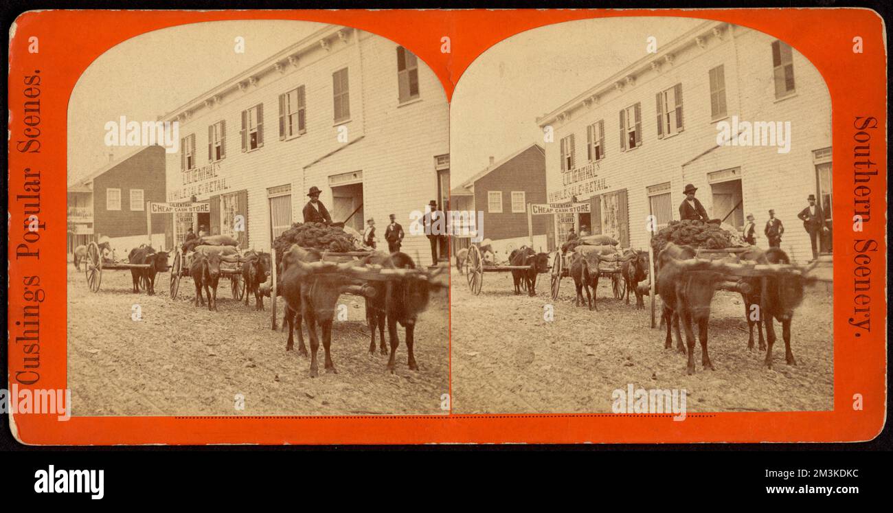 Oxen pulling loads through an unidentified town , City & town life, Ox ...