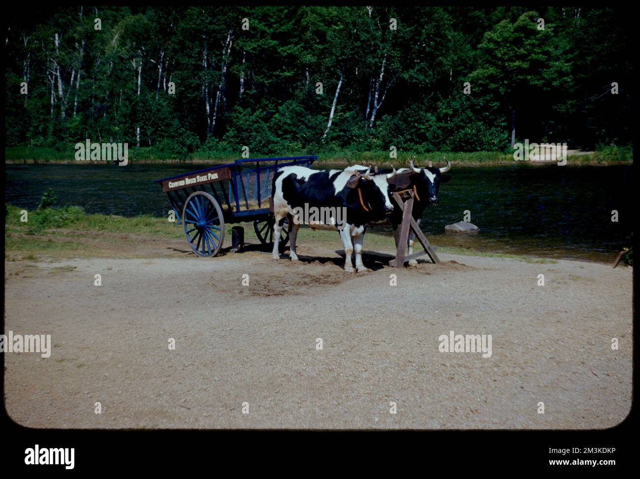 Ox cart, Crawford Notch , Oxen, Carts & wagons. Edmund L. Mitchell ...