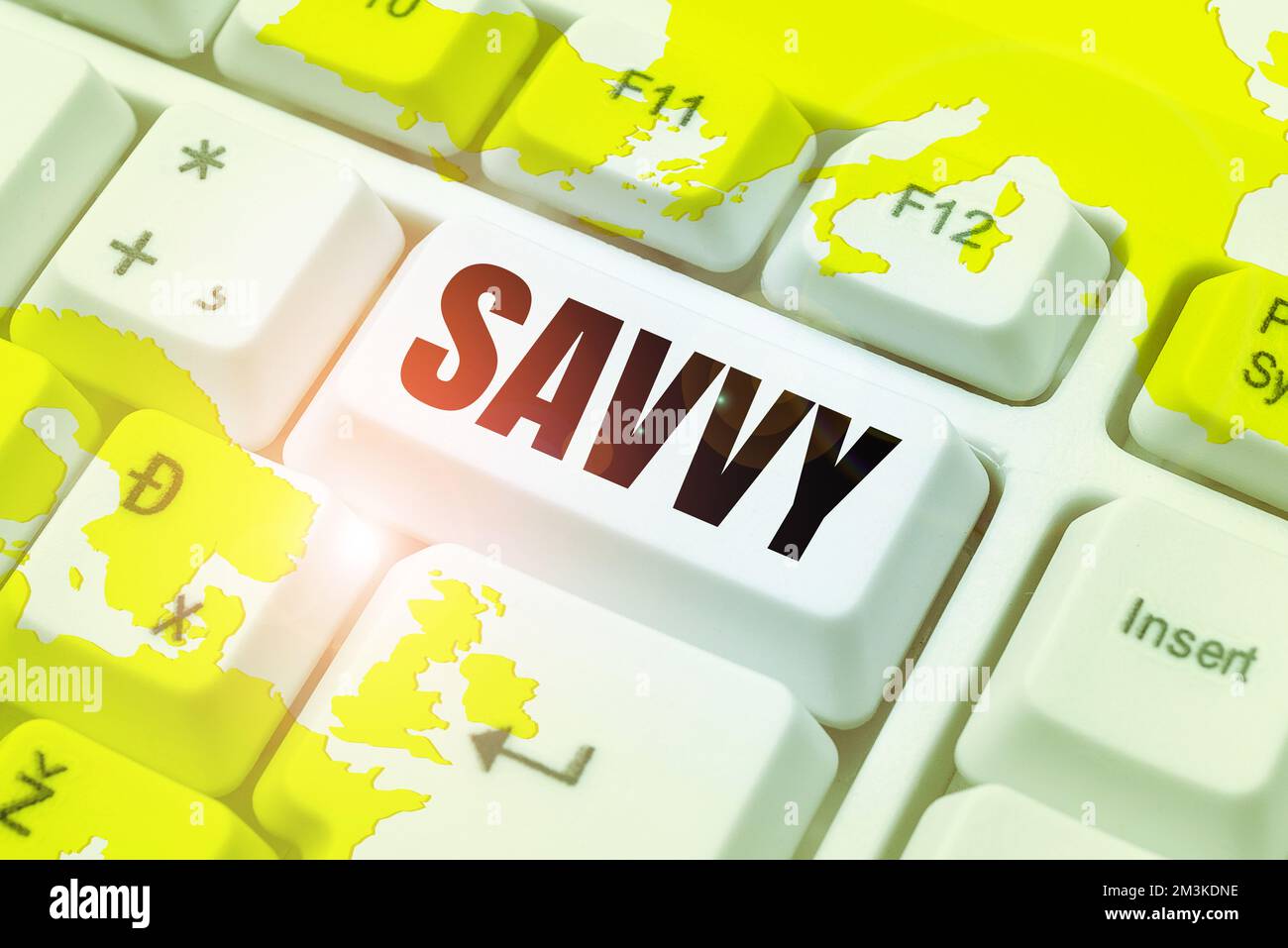Text sign showing Savvy. Word for having perception, comprehension in ...