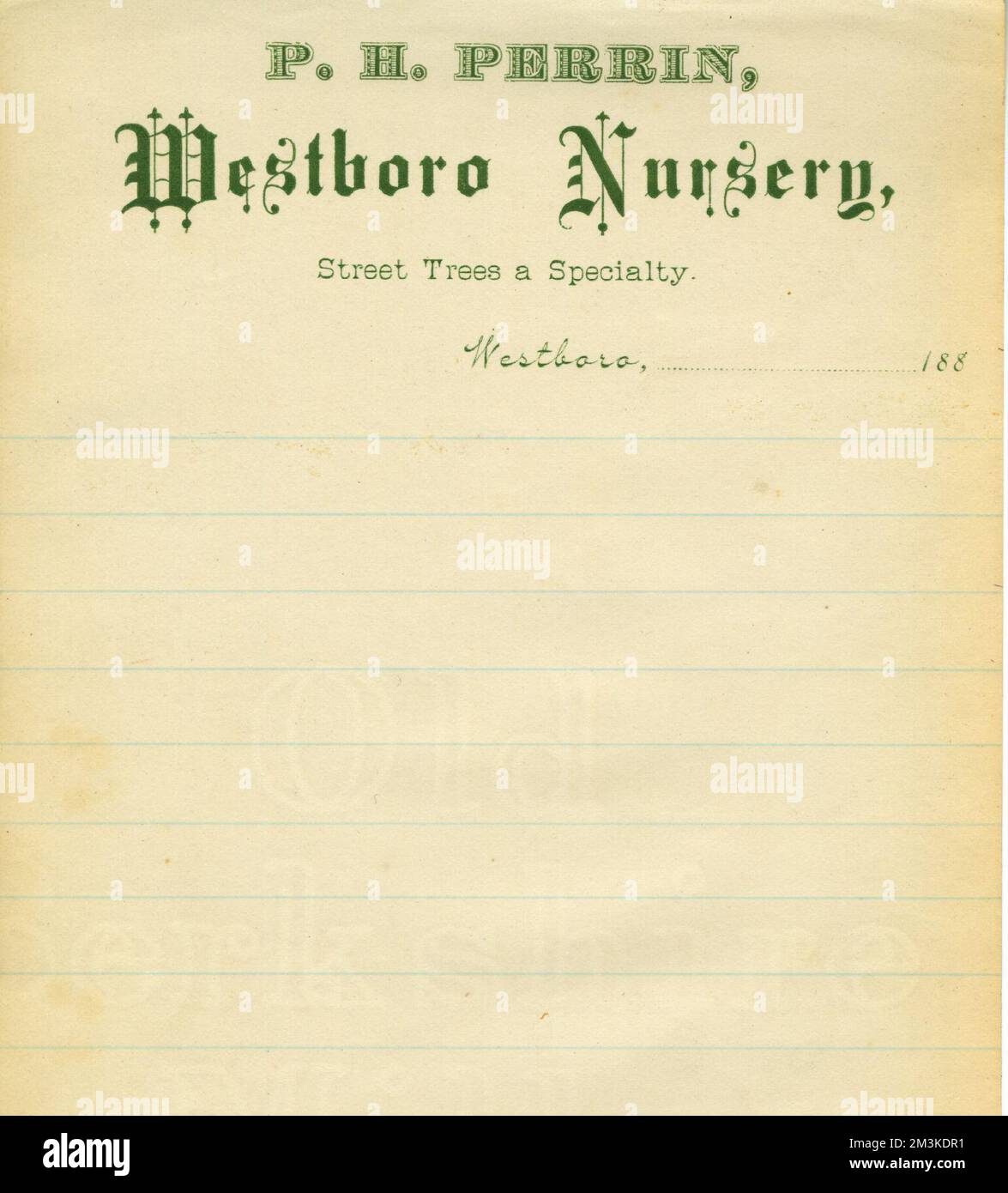P. H. Perrin Westboro Nursery receipt , Nurseries Horticulture ...