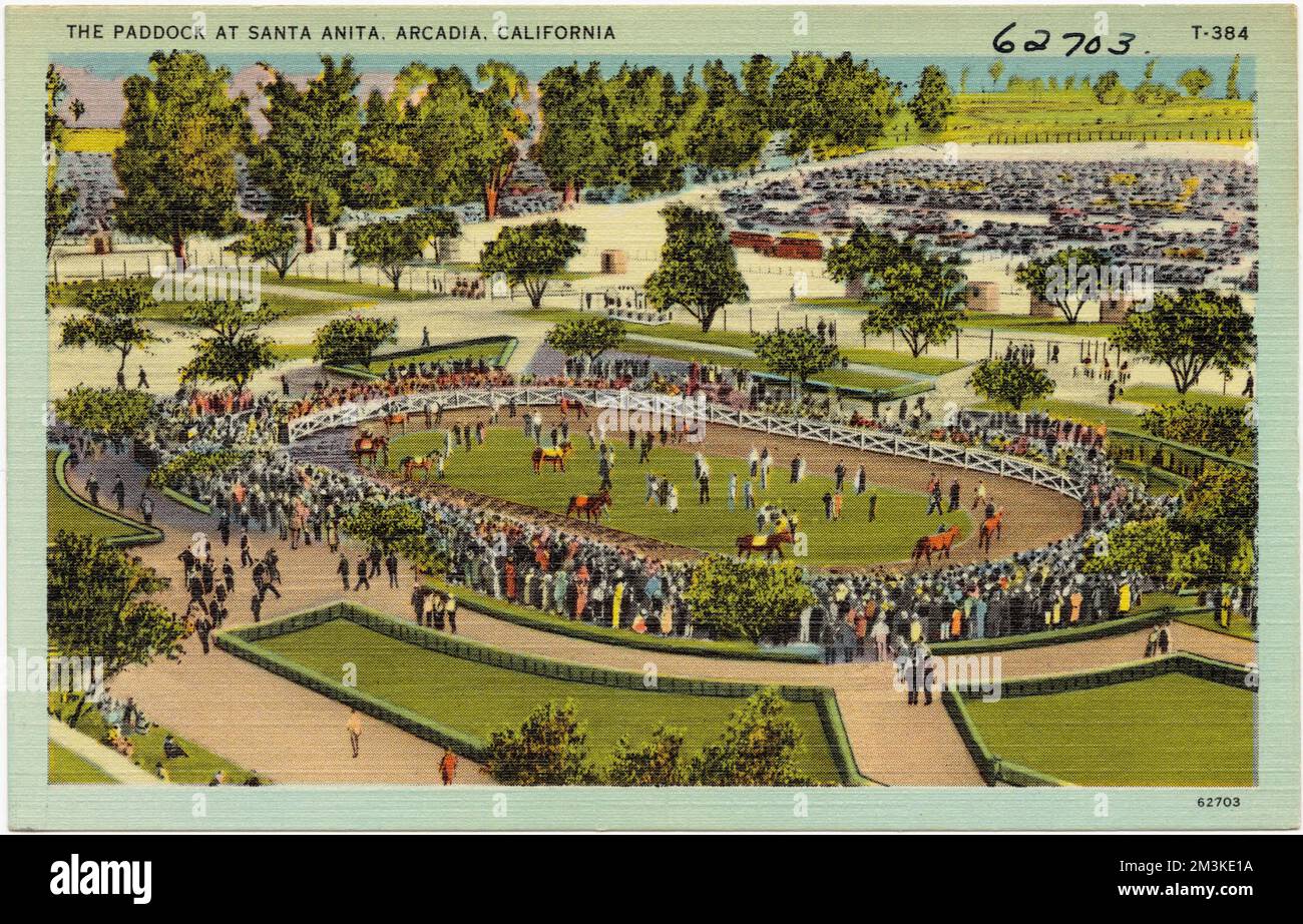 The paddock at Santa Anita, Arcadia, California , Sports & recreation ...