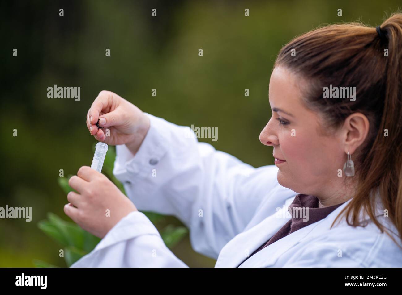 Soil scientist america hi-res stock photography and images - Alamy
